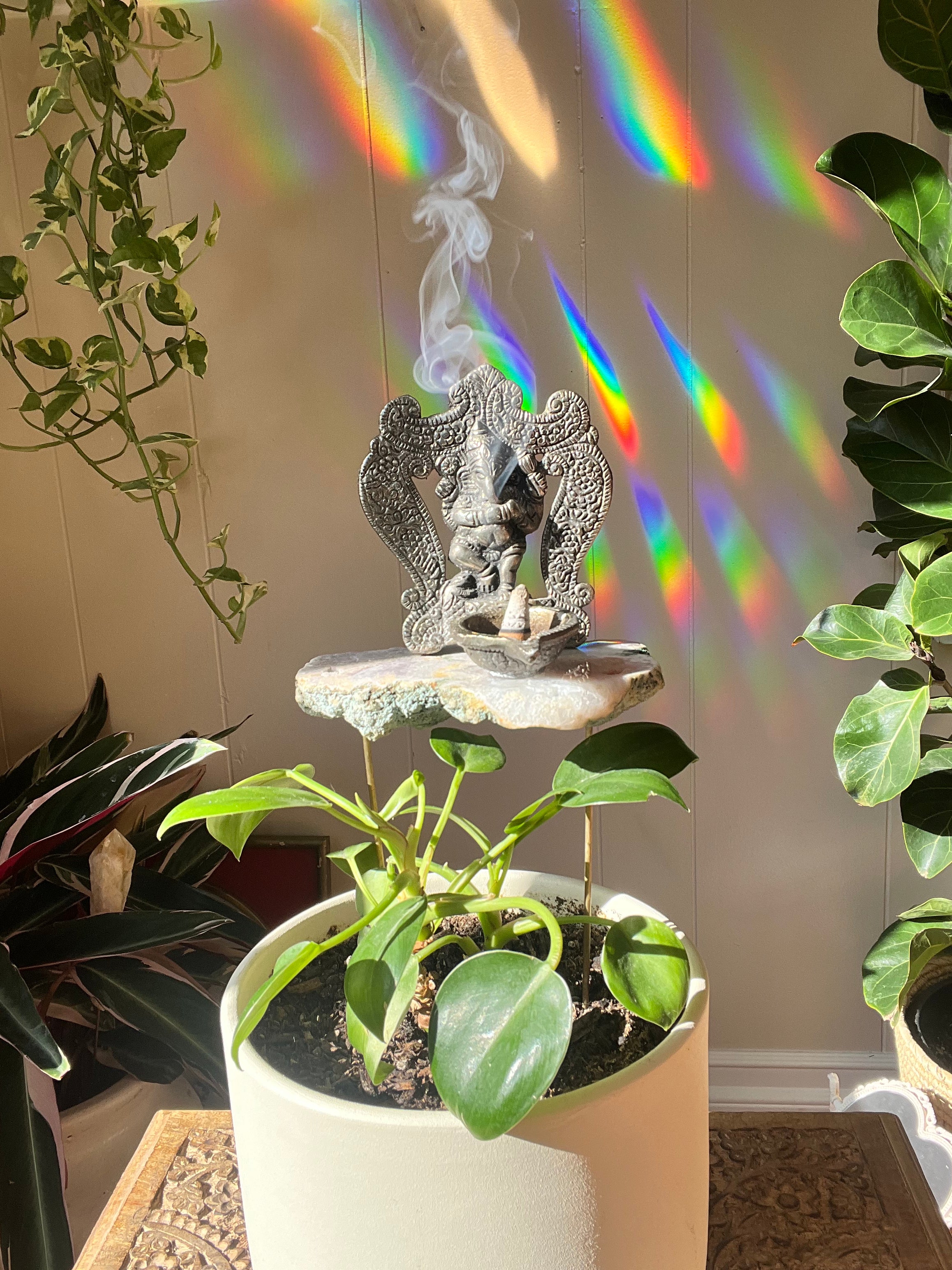 CRYSTAL ALTARS – Plant Crystals