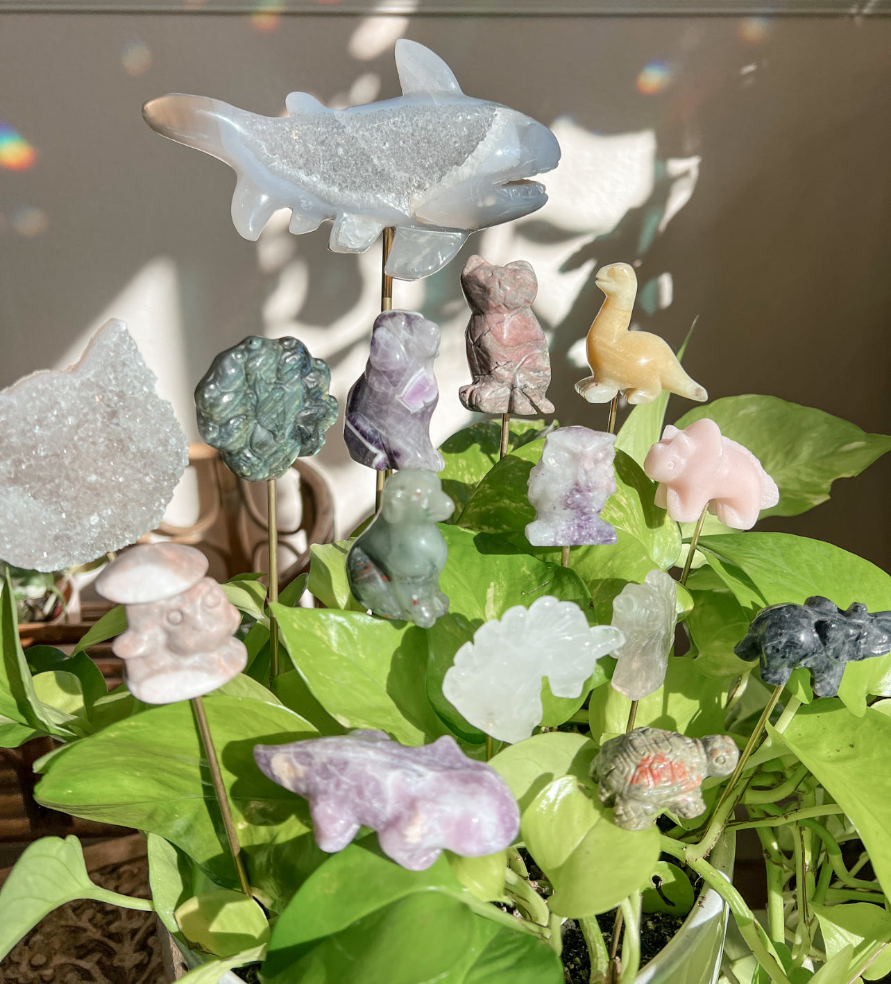 ANIMAL PLANT CRYSTALS – Plant Crystals