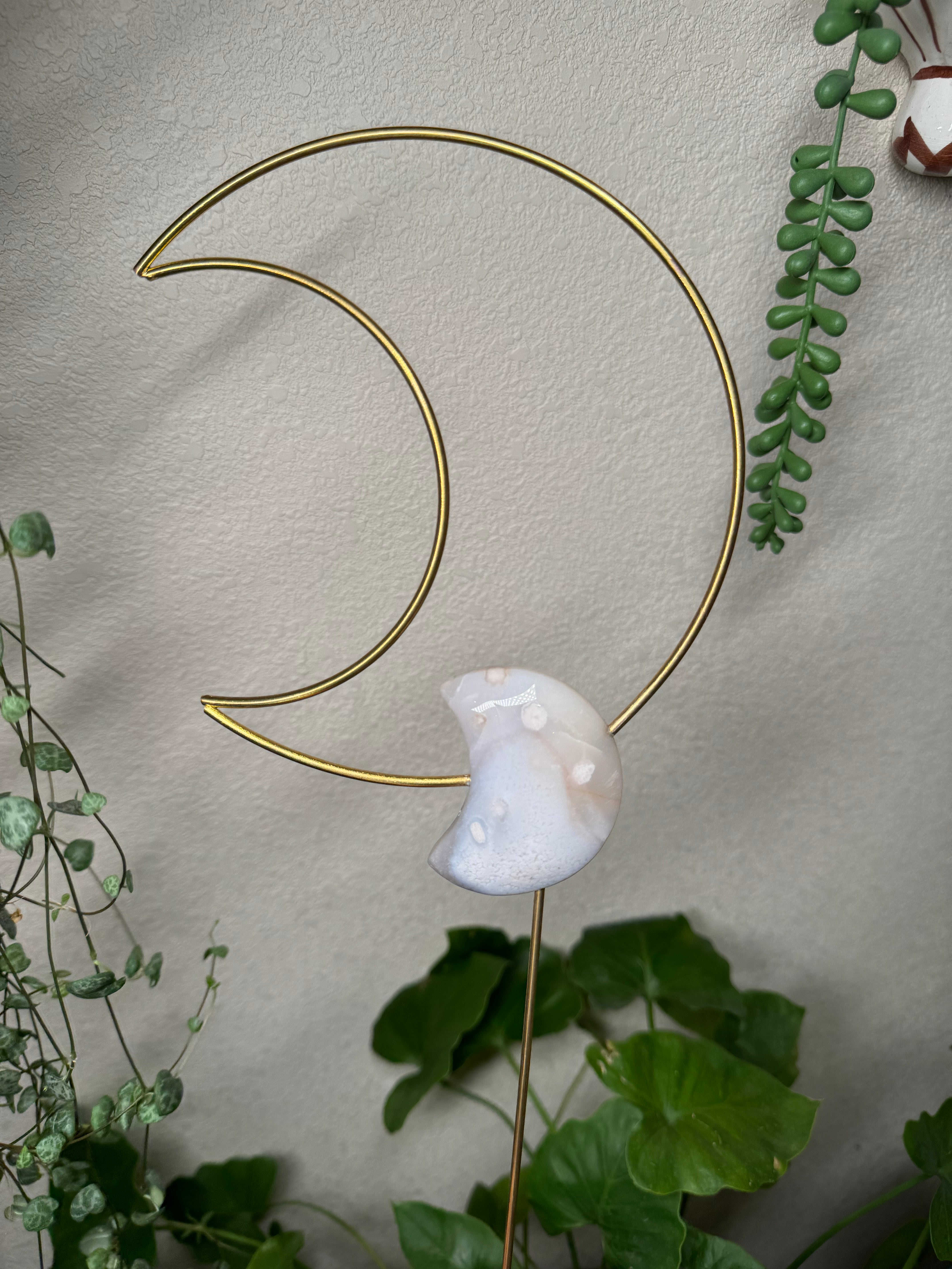 Moon Trellis – Plant Crystals