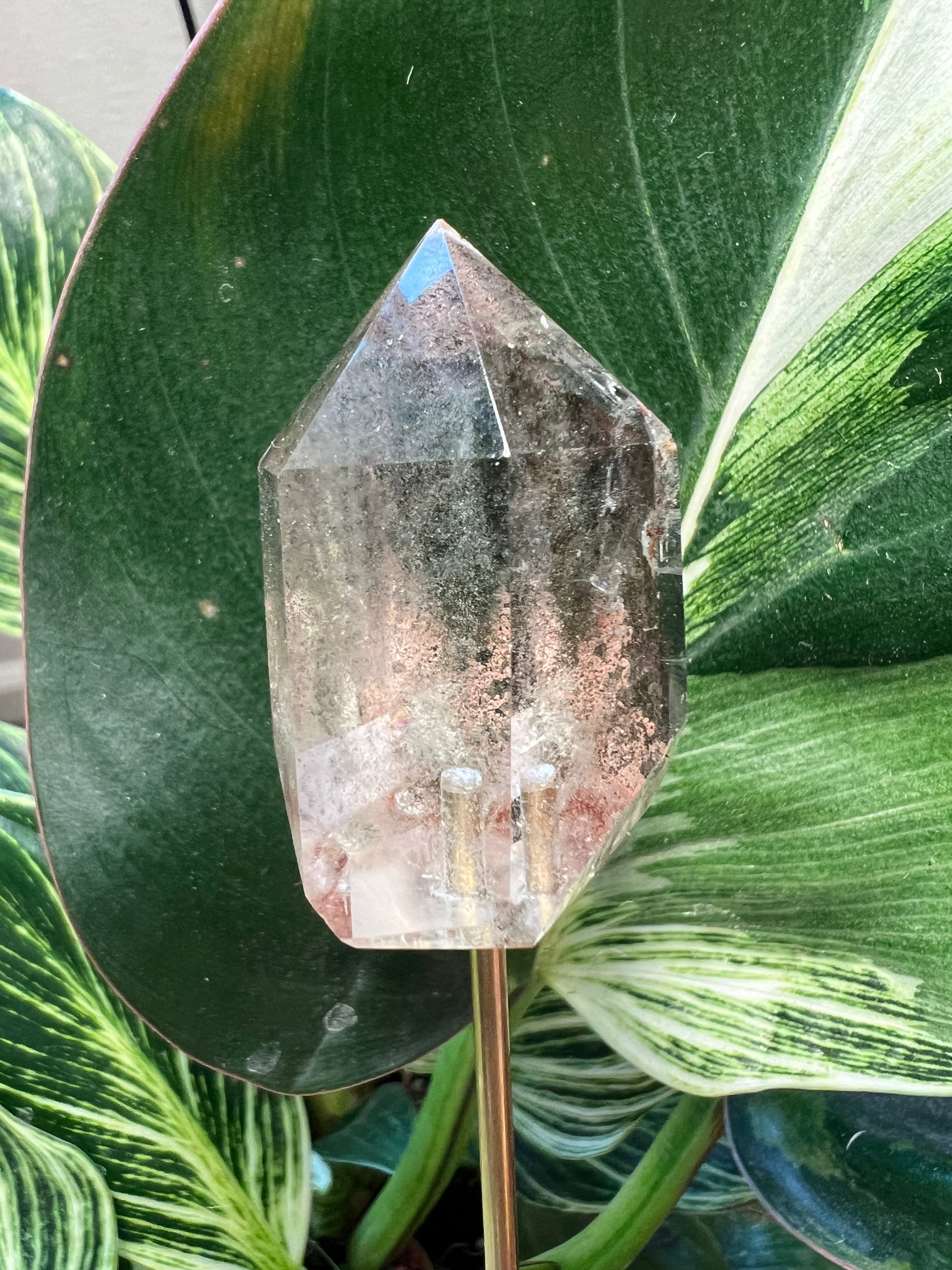 Garden Quartz – Plant Crystals